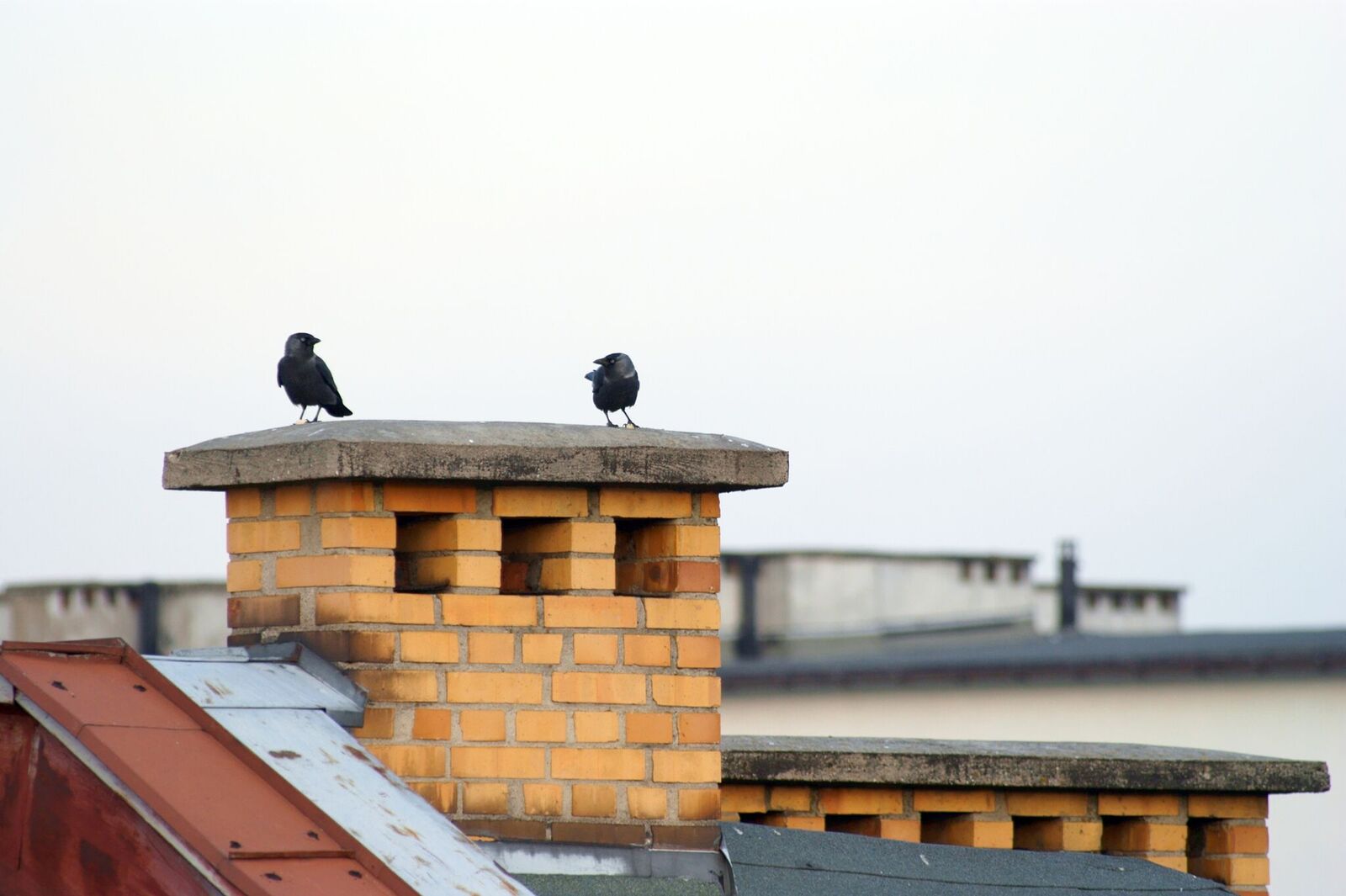 Chimney Caps & April Showers - Comfort Class Chimney & Air Service